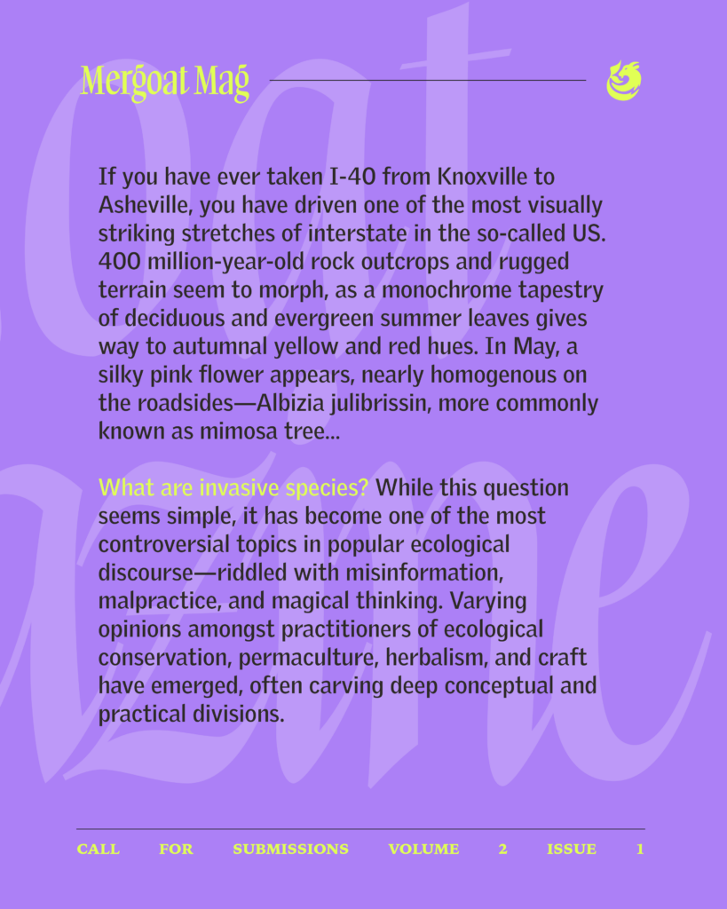 Mergoat Magazine - Mergoat