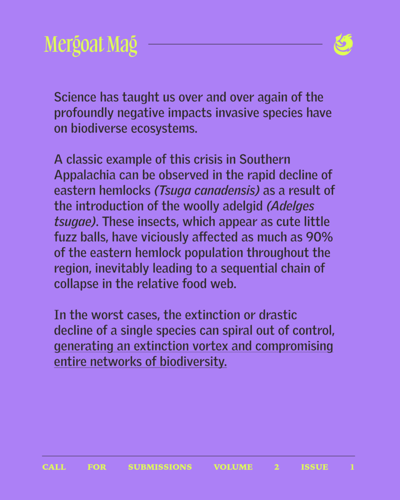 Mergoat Magazine - Mergoat