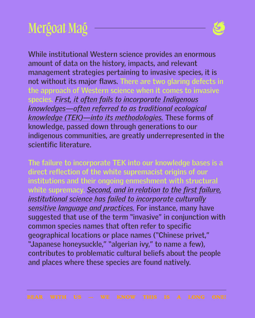 Mergoat Magazine - Mergoat