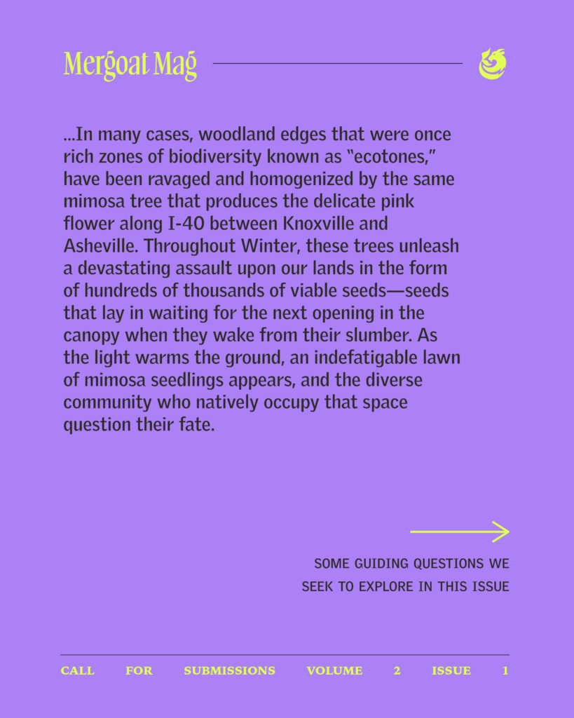 Mergoat Magazine - Mergoat