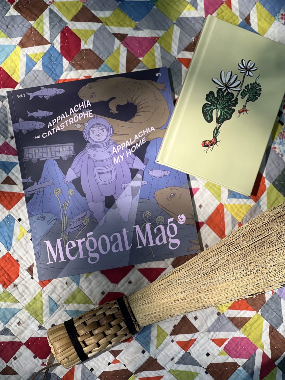 Vol. 2 N°2: Dissembling the Split Rail - Mergoat